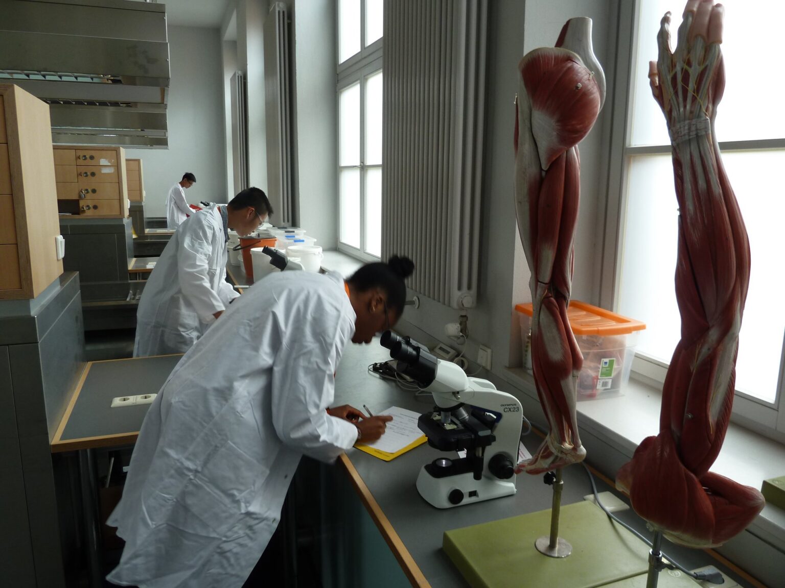 International Brain Bee – The Neuroscience Competition for Teens